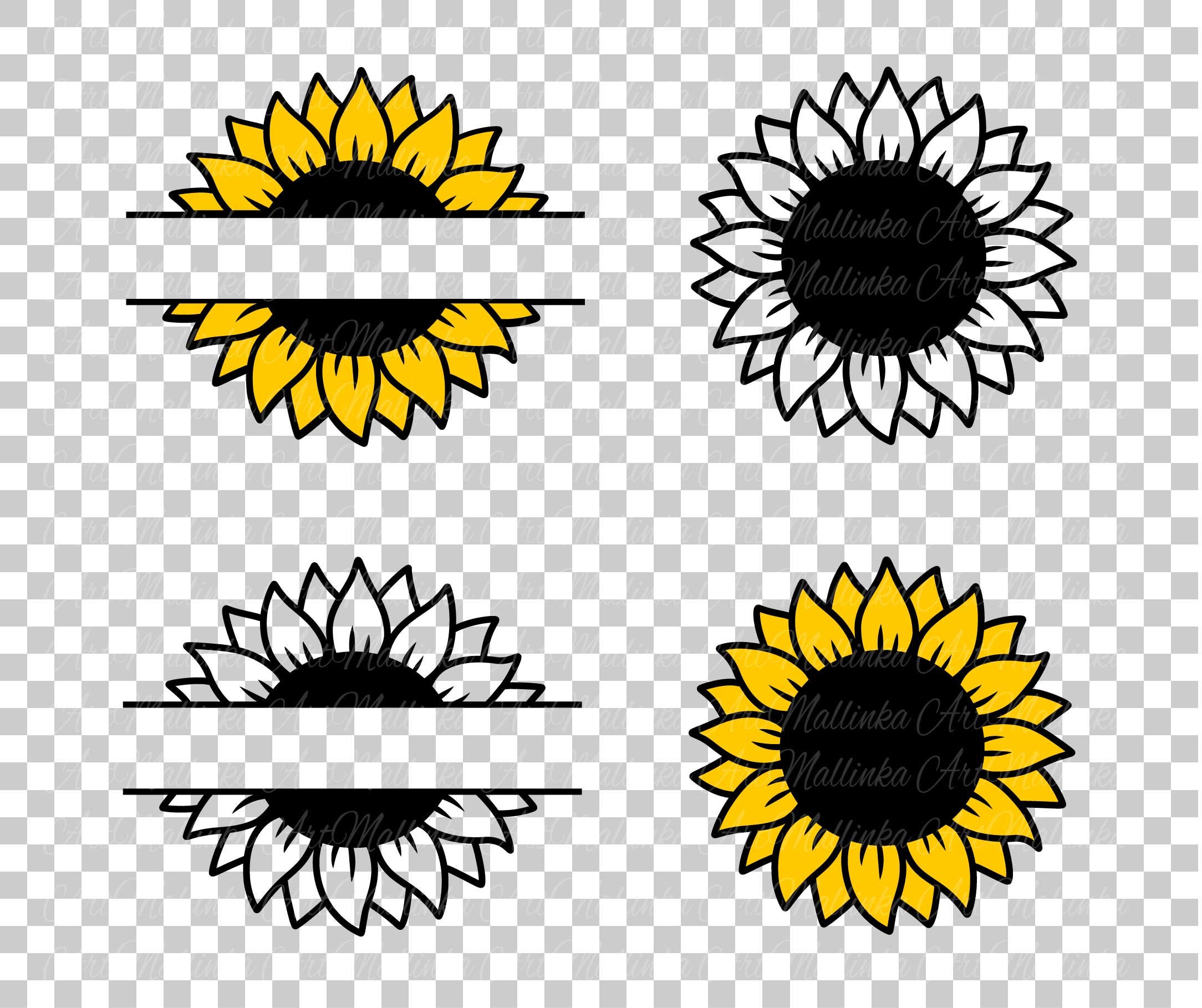 Girasol Svg. Girasol. Flores dibujadas a mano. Girasoles vector. Flor ...