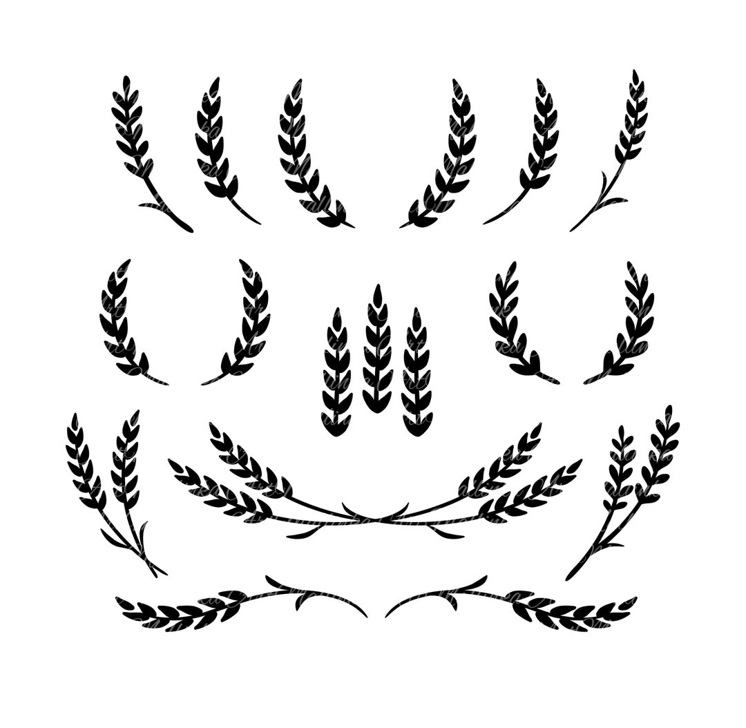 Wheat SVG Bundle, Wheat SVG, Wheat, SVG, Barley, Oatly, Grain Svg ...