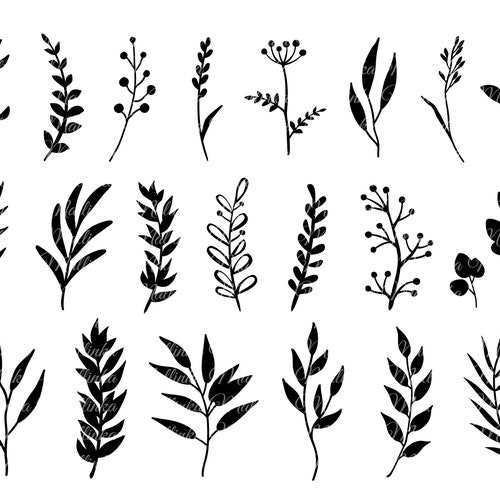 Scrapbooking floral elements floral svg Flower svg files adobe ...