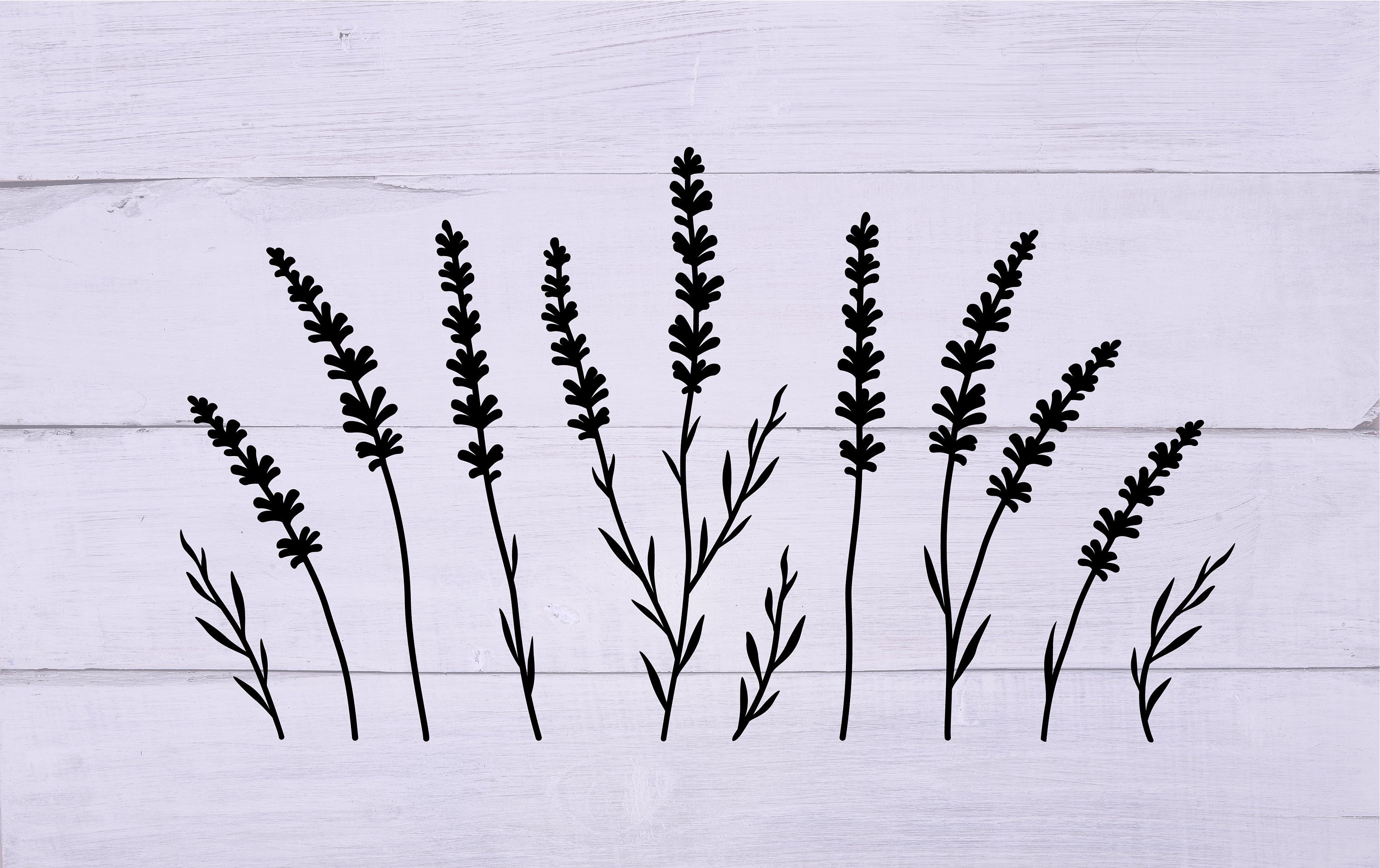 Lavender Svg. Svg. Flowers Svg. Lavender Silhouettes. Floral Vector ...