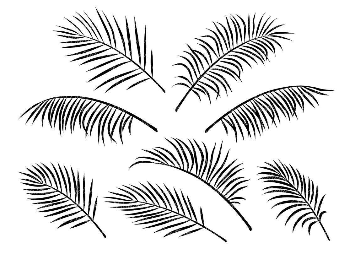 Tropical Palm Leaves Set. Cut SVG. Vector Elements. PNG Files With ...