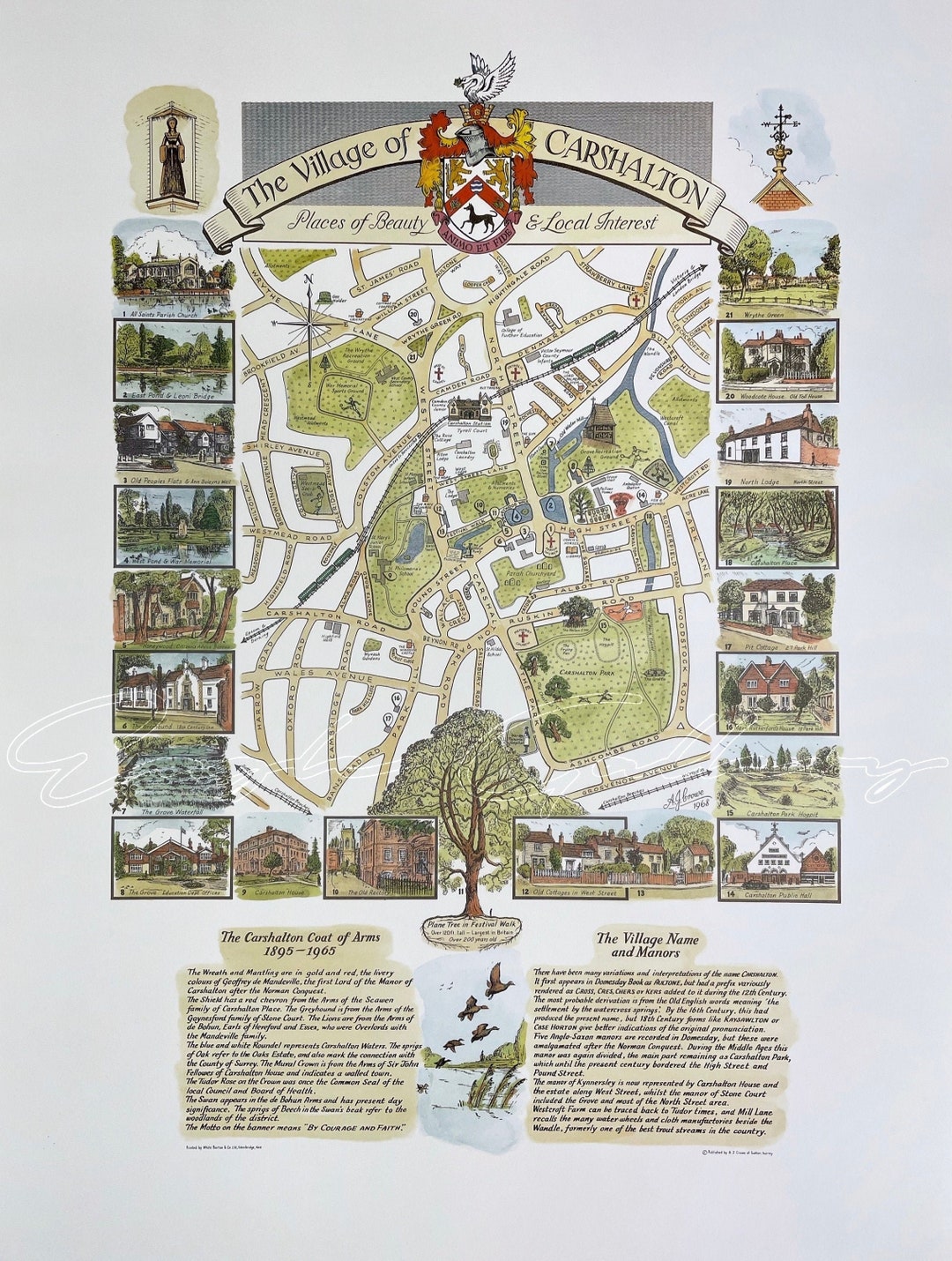 The Village of Carshalton Map (colour) - Etsy