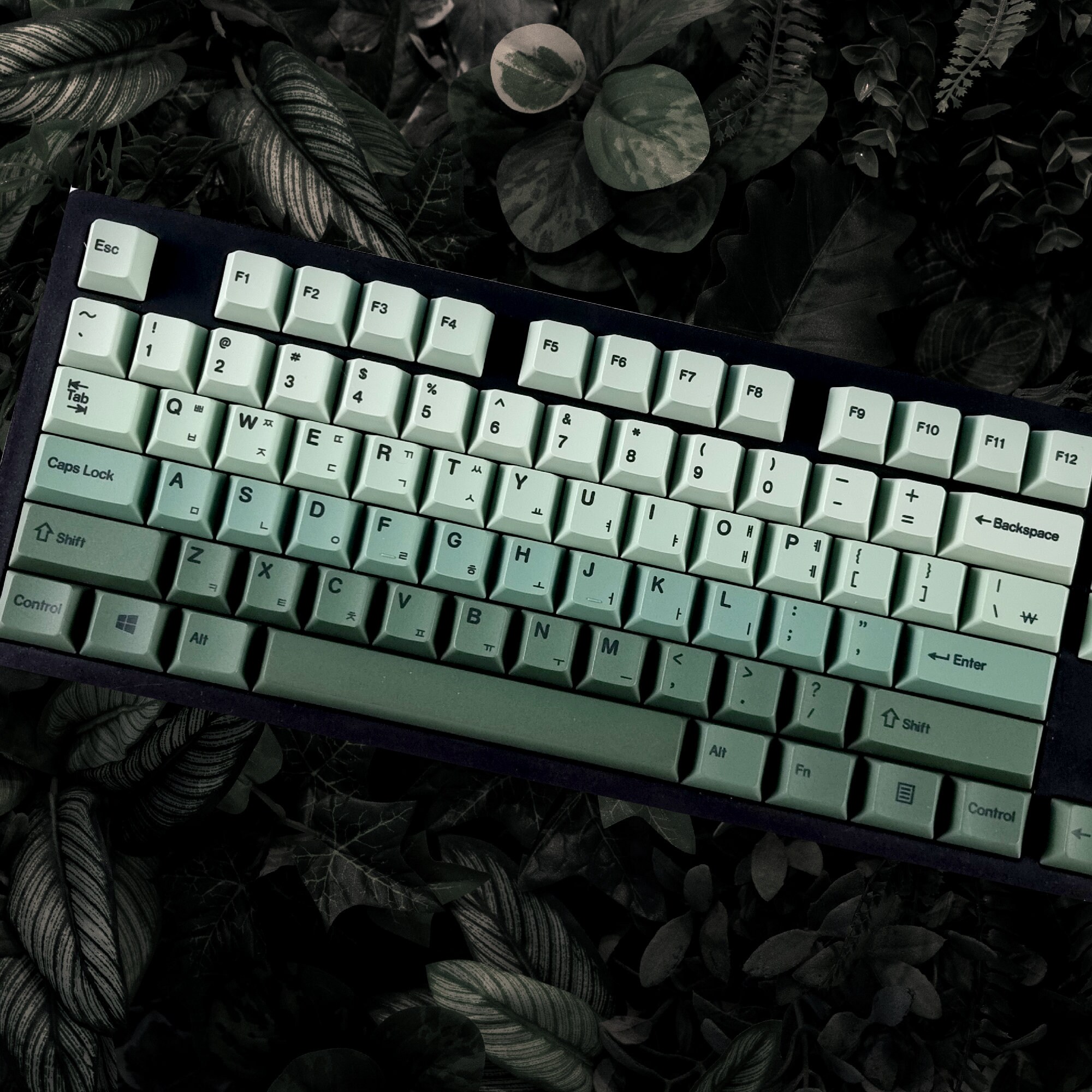 145 Keys Evergreen Korean Keycap Set, PBT, Hangul Keycaps Korean and ...
