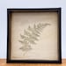 Vintage Fern Sign Mini Wood Signs Fern Art Plant Gifts - Etsy