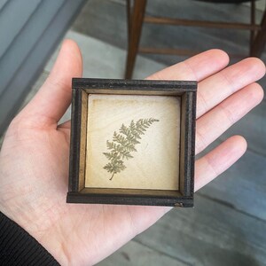 Vintage Fern Sign, Mini Wood Signs, Fern Art, Plant Gifts, Fern Print ...