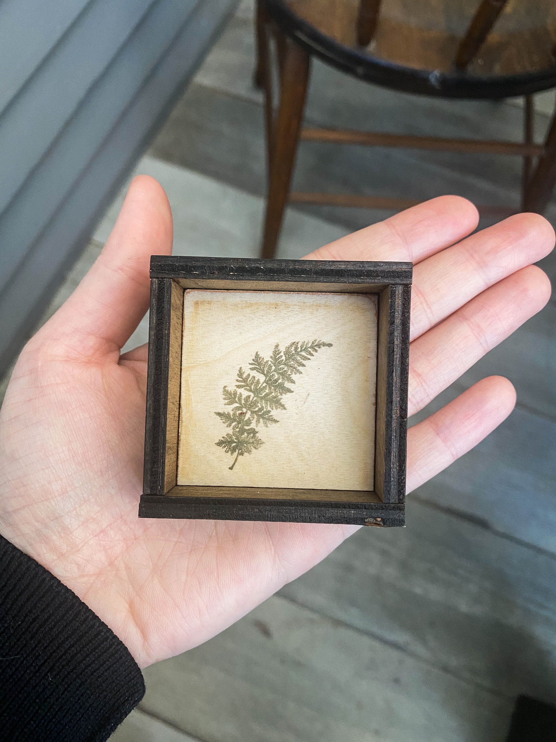 Vintage Fern Sign Mini Wood Signs Fern Art Plant Gifts | Etsy