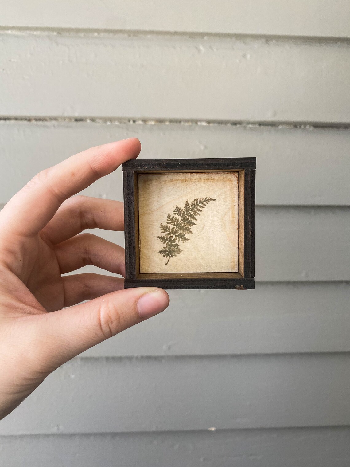 Vintage Fern Sign Mini Wood Signs Fern Art Plant Gifts | Etsy