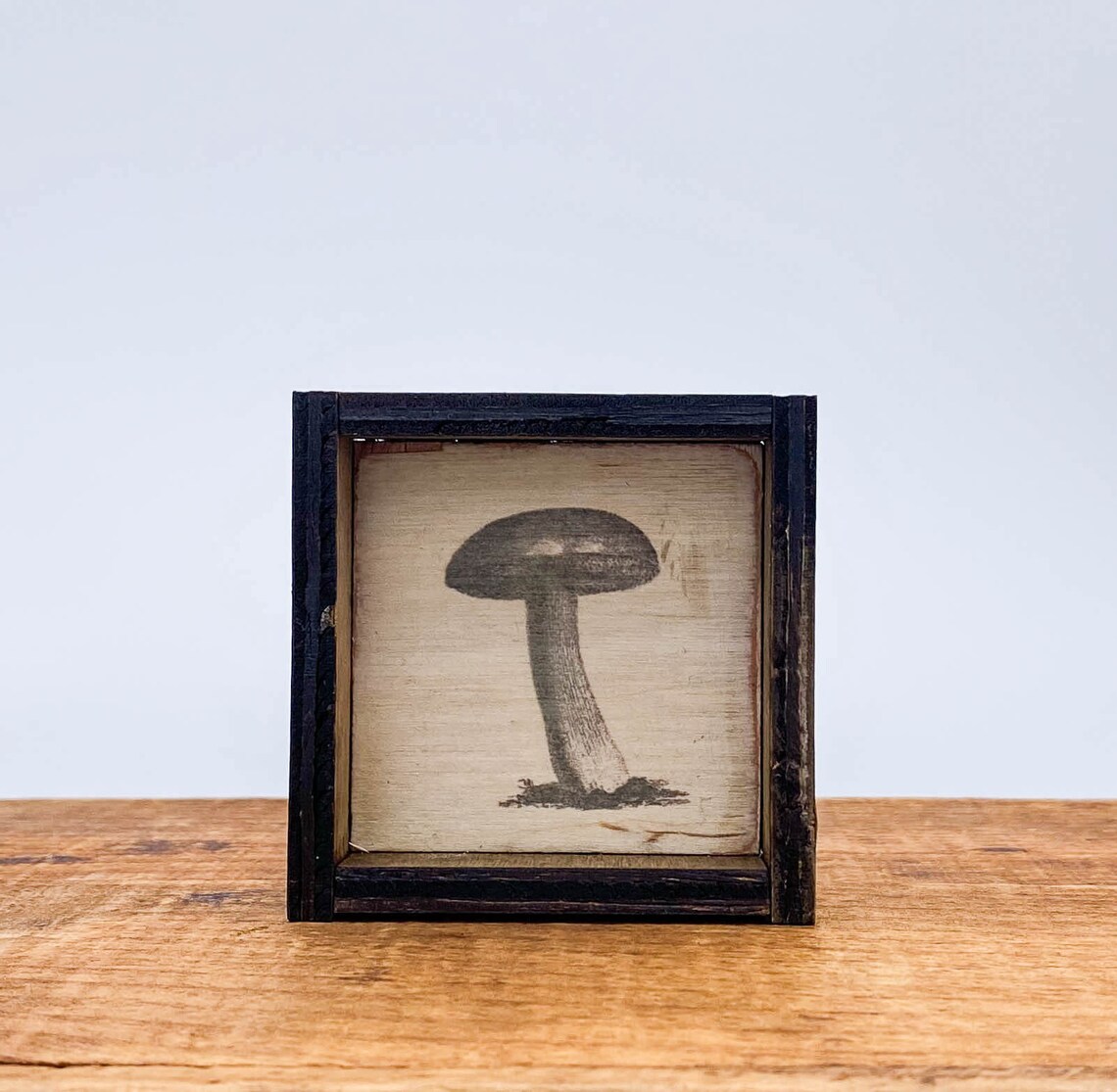 Mushroom Sign Mini Wood Sign Vintage Mushroom Decor | Etsy