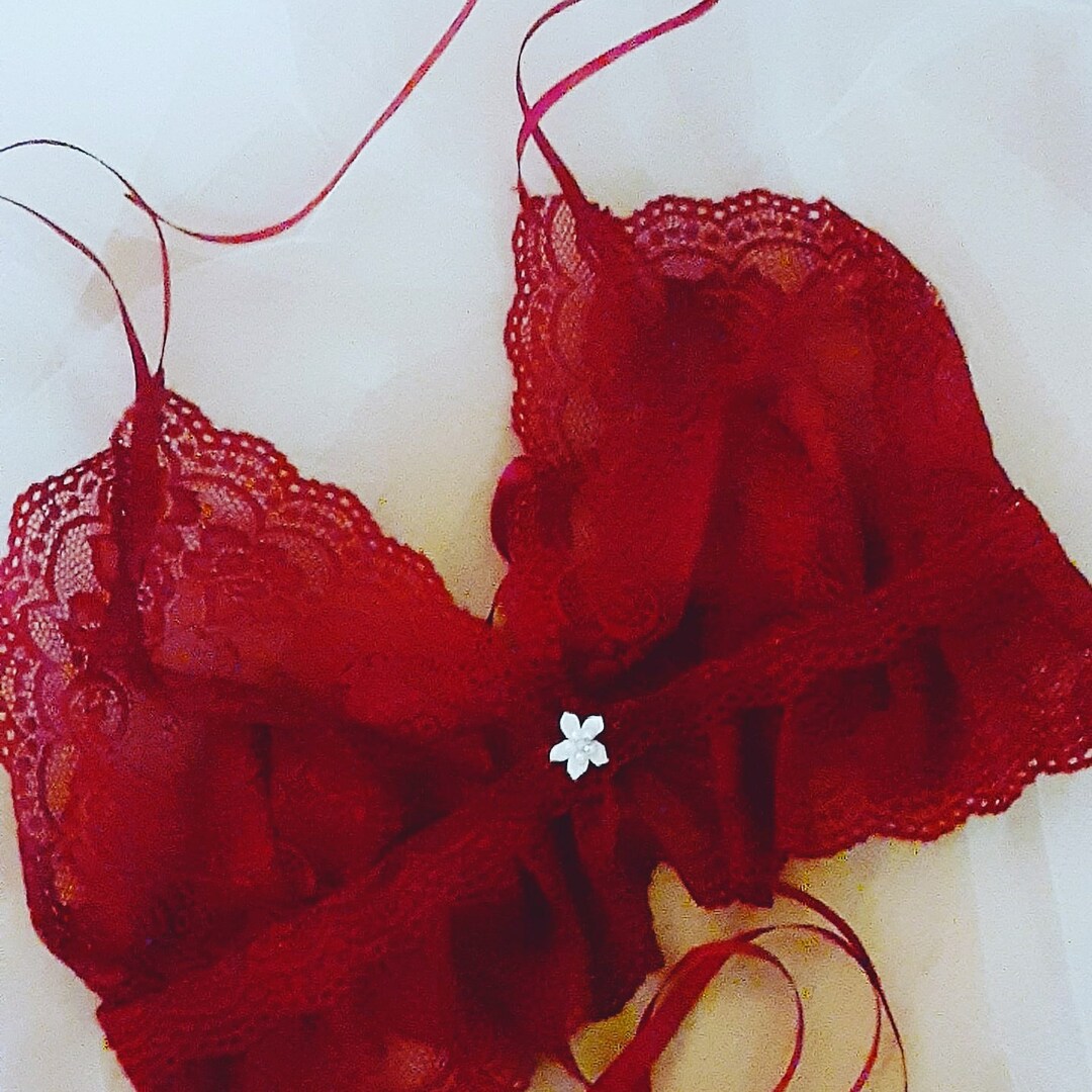 Burgundery Red Fine Lingerie Lace Set - Etsy