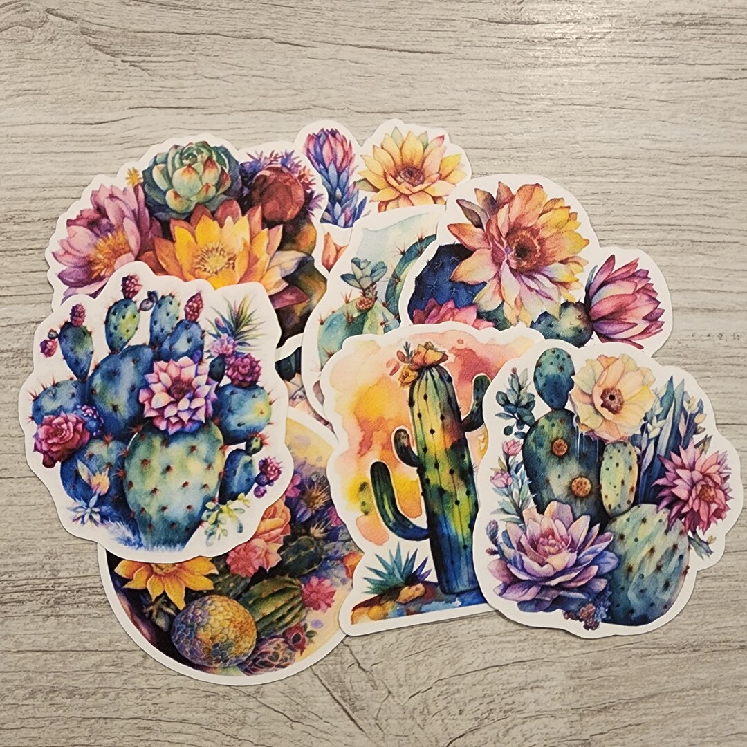 Cute Water Color Cactus Flower Sticker 9 Pack. 2.5 Inches. - Etsy