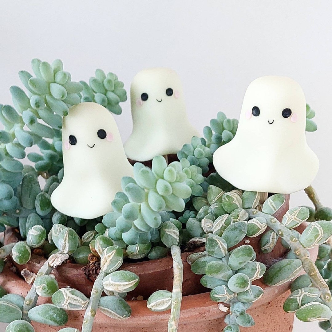 Ghost Plant Pot Accessory, Friend, Pal, House Plants, Garden, Urban ...