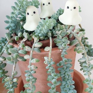 Ghost Plant Pot Accessory, Friend, Pal, House Plants, Garden, Urban ...
