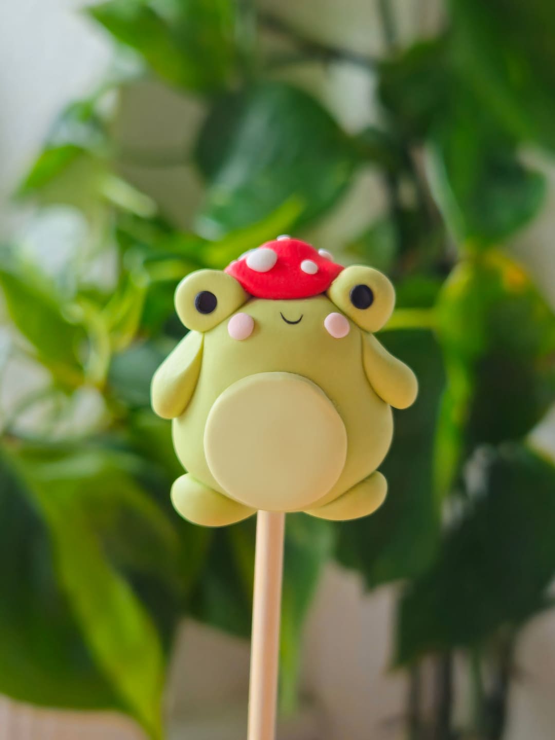 Mushroom Hat Frog Plant Buddy, Toad Pot Pal, Friend, Cute, Kawaii, Home ...