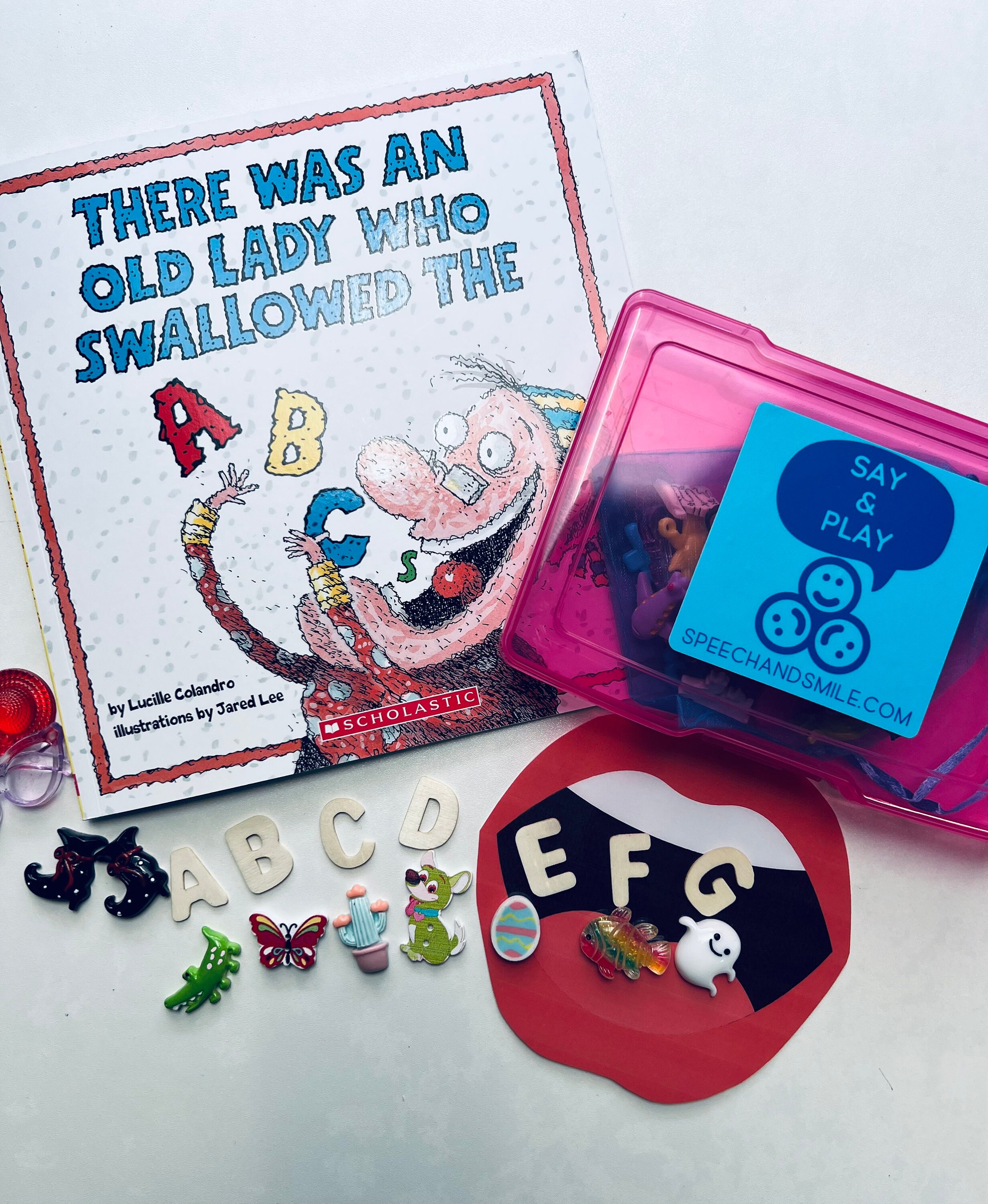 There Was an Old Lady Who Swallowed the Alphabet Book-story - Etsy