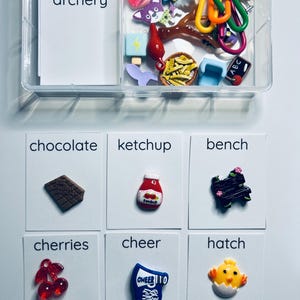 Speech Therapy Mini Objects Set of Trinkets With Cards PICK YOUR SOUND ...