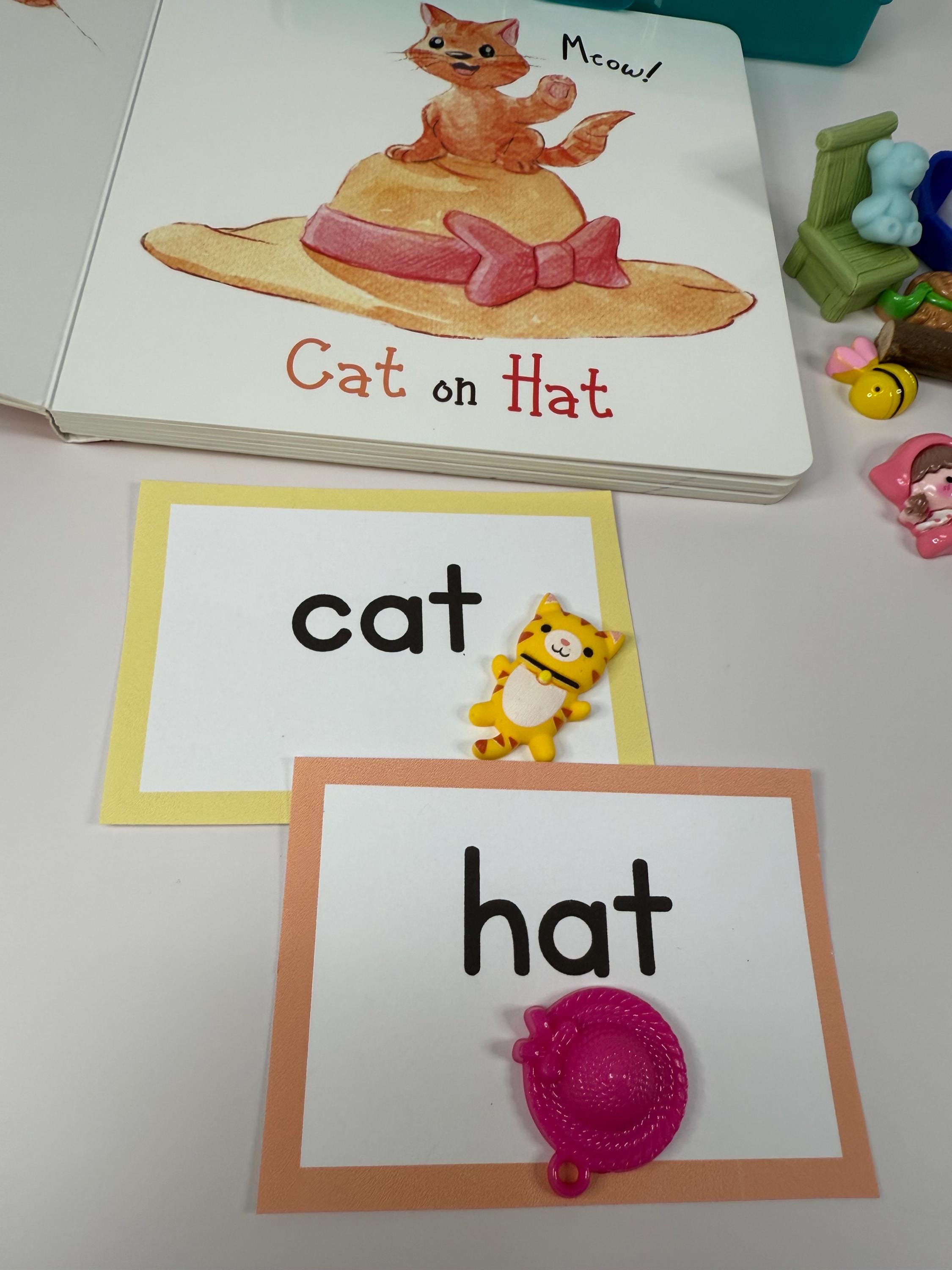 Speech Made Simple – Early Childhood CVC Word Book Mini Objects ...