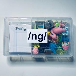 Speech Therapy Mini Objects Set of Trinkets With Cards PICK YOUR SOUND ...