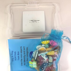 Sorting Task Box With Mini Objects | Speech Therapy Activity Box ...