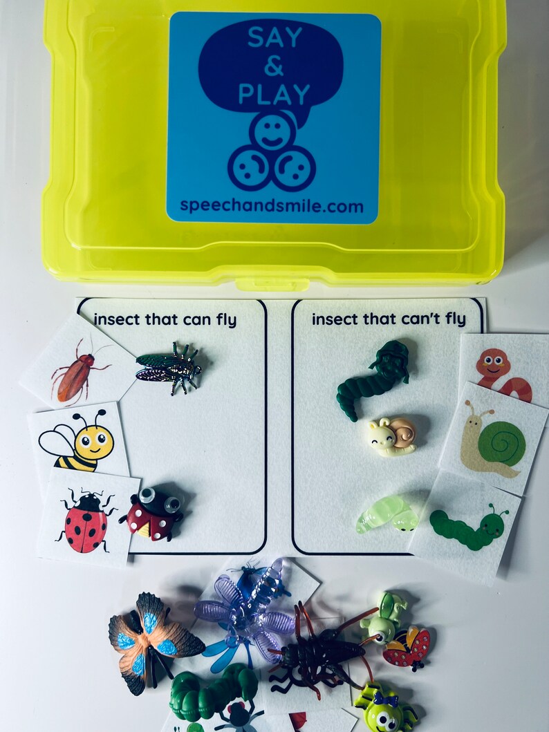 Bug Sorting Speech Therapy Task Box Sorting Insect Objects Spring ...