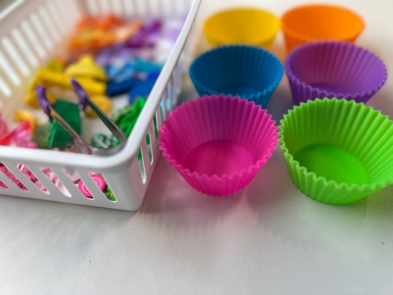 Color Sorting Color Matching-mini Objects With Tray - Etsy
