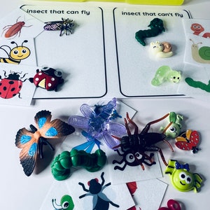 Bug Sorting Speech Therapy Task Box Sorting Insect Objects Spring ...