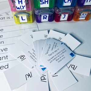 Speech Therapy Mini Objects Set Over 300 Trinkets for ALL SOUNDS ...