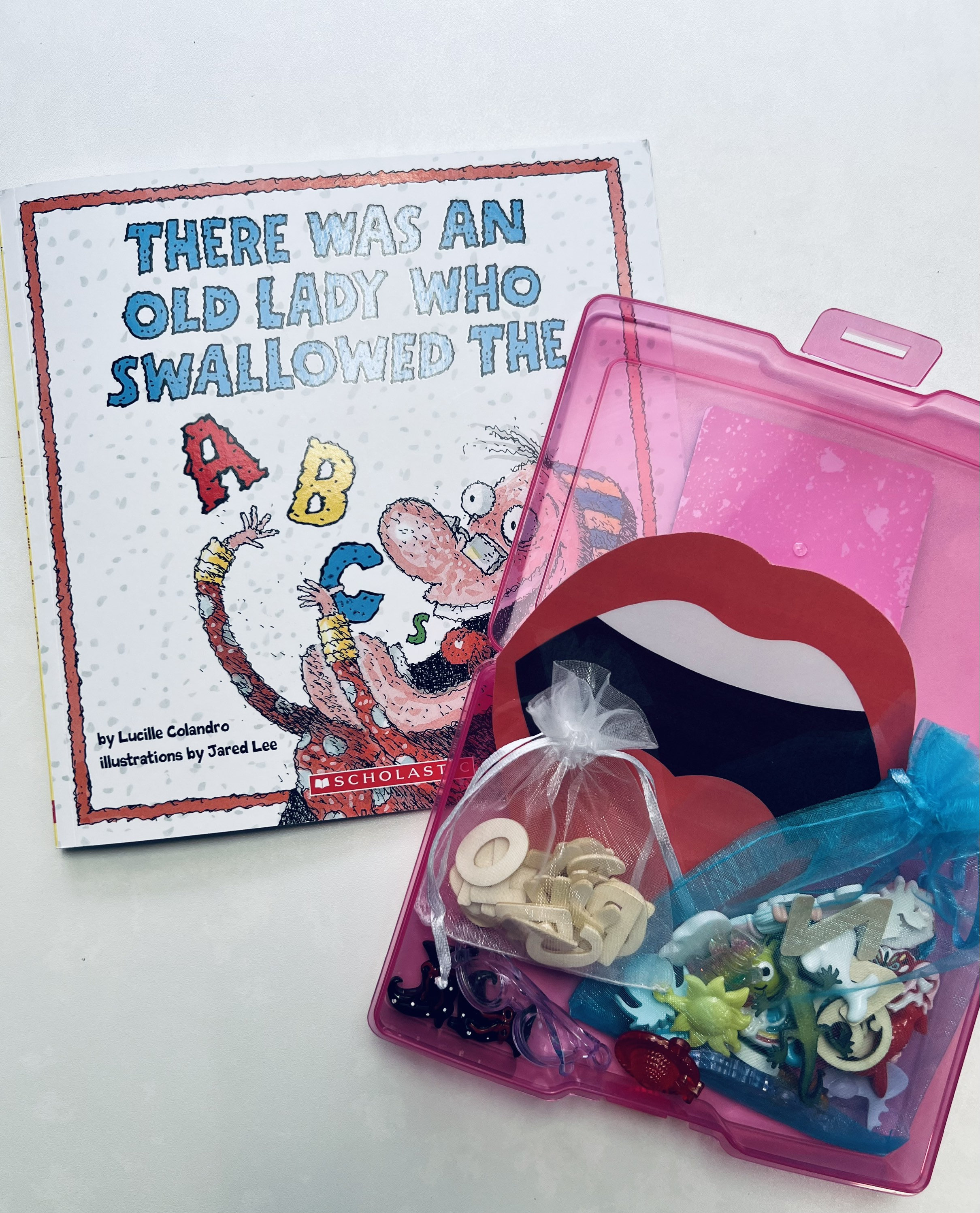There Was an Old Lady Who Swallowed the Alphabet Book-story - Etsy