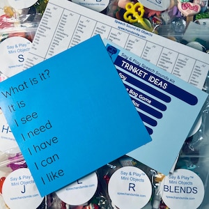 Speech Therapy Mini Objects Set Over 300 Trinkets for ALL SOUNDS ...