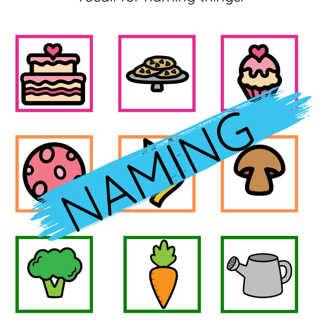 Naming Activity Worksheet PRINT & PLAY Name Things Themes Preschool Naming Worksheet Printable ...