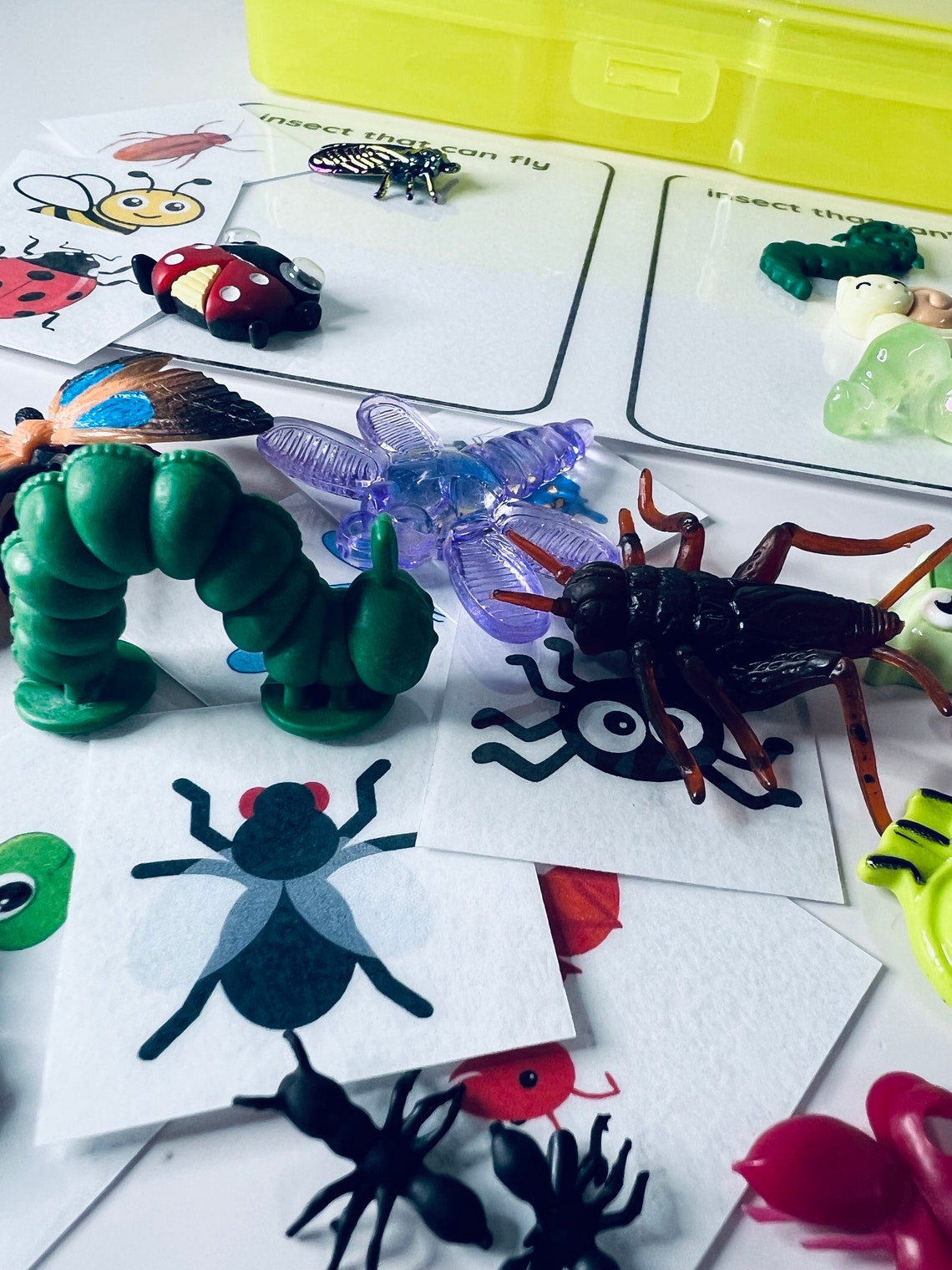 Bug Sorting Speech Therapy Task Box Sorting Insect Objects Spring ...