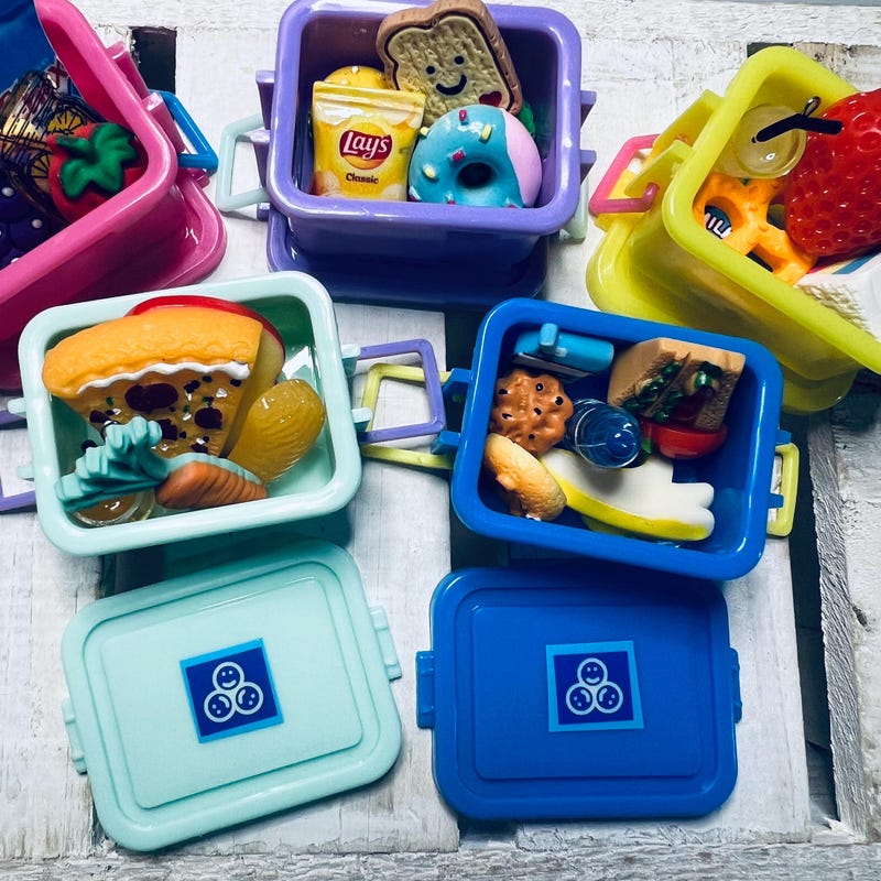 Mini Lunchbox and Food - Etsy