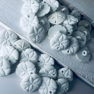 Miniature Sand Dollar-sand Dollar Buttons-beach Trinlets-mini Sea Shell ...