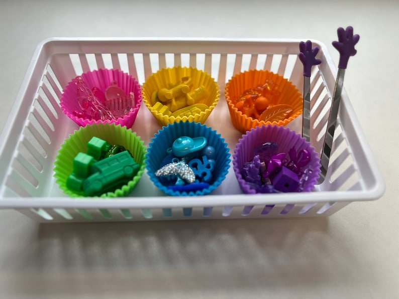 Color Sorting Color Matching-mini Objects With Tray - Etsy