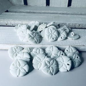 Miniature Sand Dollar-sand Dollar Buttons-beach Trinlets-mini Sea Shell ...