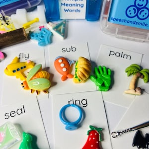 Multiple Meaning Word Mini Objects for Speech Therapy Semantics ...