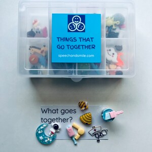 Mini Objects for Speech Therapy Things That Go Together Kit Semantic ...