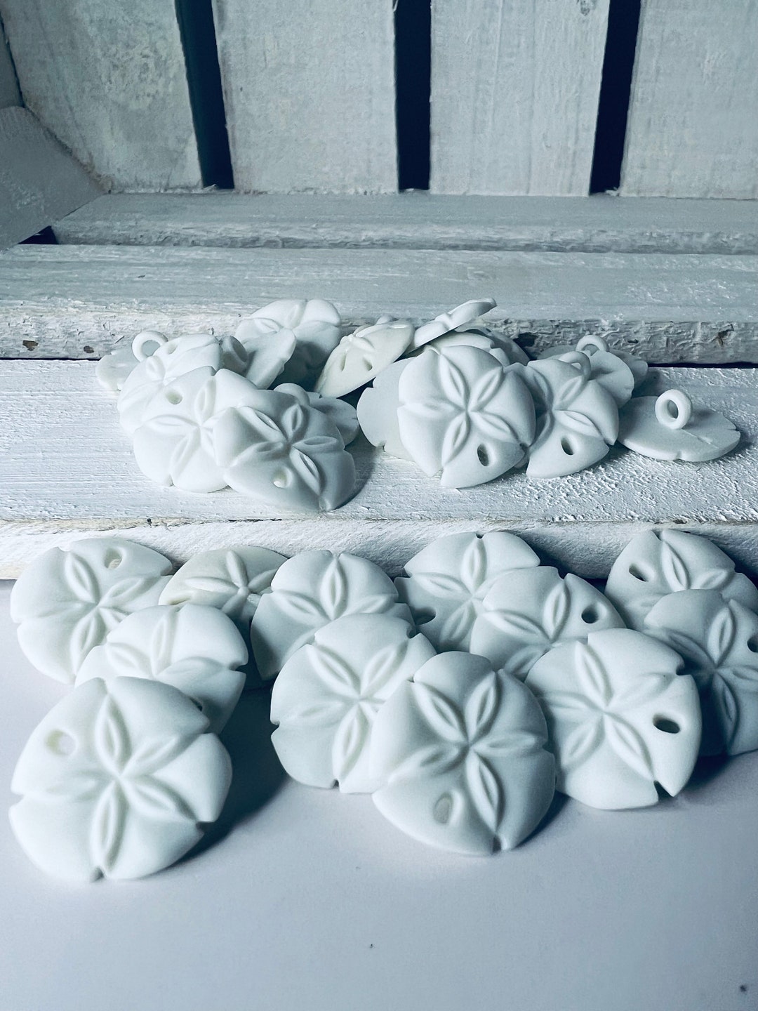 Miniature Sand Dollar-sand Dollar Buttons-beach Trinlets-mini Sea Shell ...