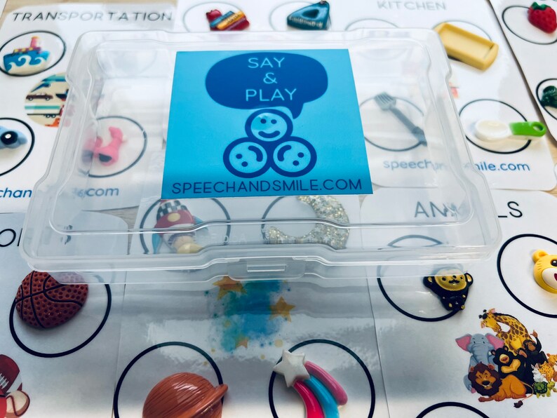 Sorting Task Box With Mini Objects-speech Therapy Activity - Etsy