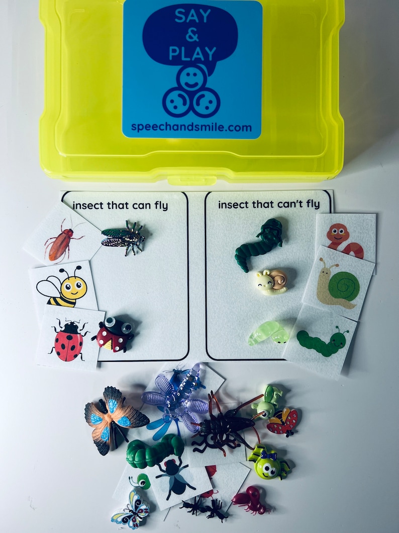 Bug Sorting Speech Therapy Task Box Sorting Insect Objects Spring ...