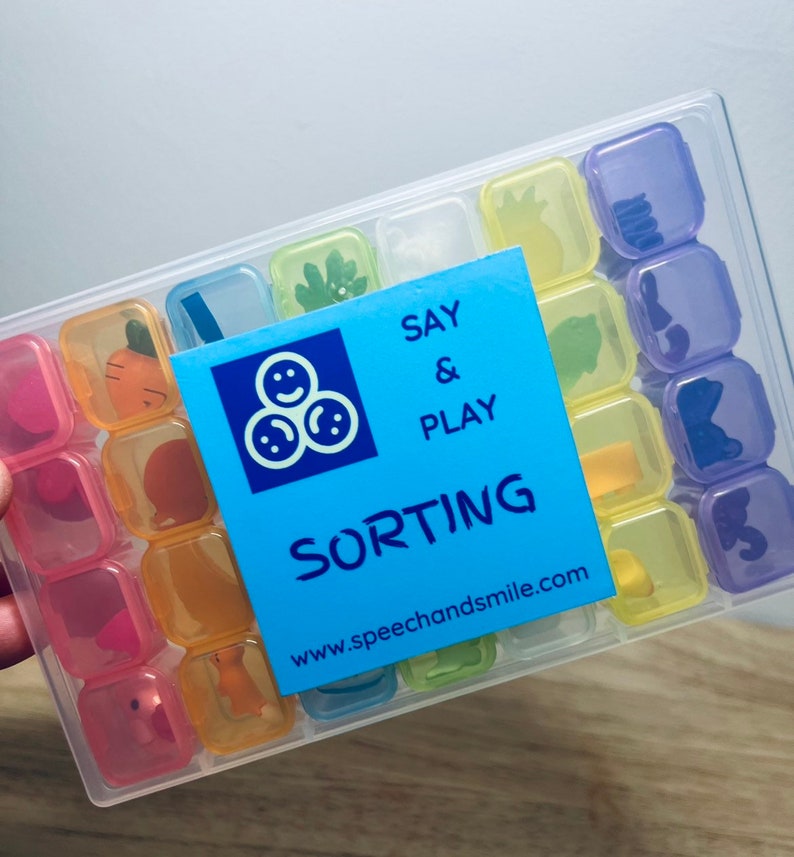 Color Sorting Objects in Case Sorting Activity-rainbow - Etsy