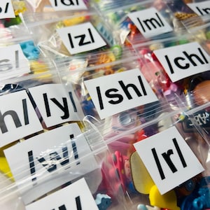 Speech Therapy Mini Objects Set ALL Sounds Included Articulation ...