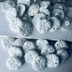 Miniature Sand Dollar-sand Dollar Buttons-beach Trinlets-mini Sea Shell ...