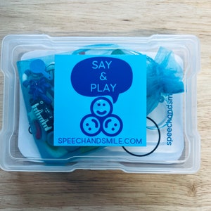 Sorting Task Box With Mini Objects Speech Therapy Activity Box Language ...