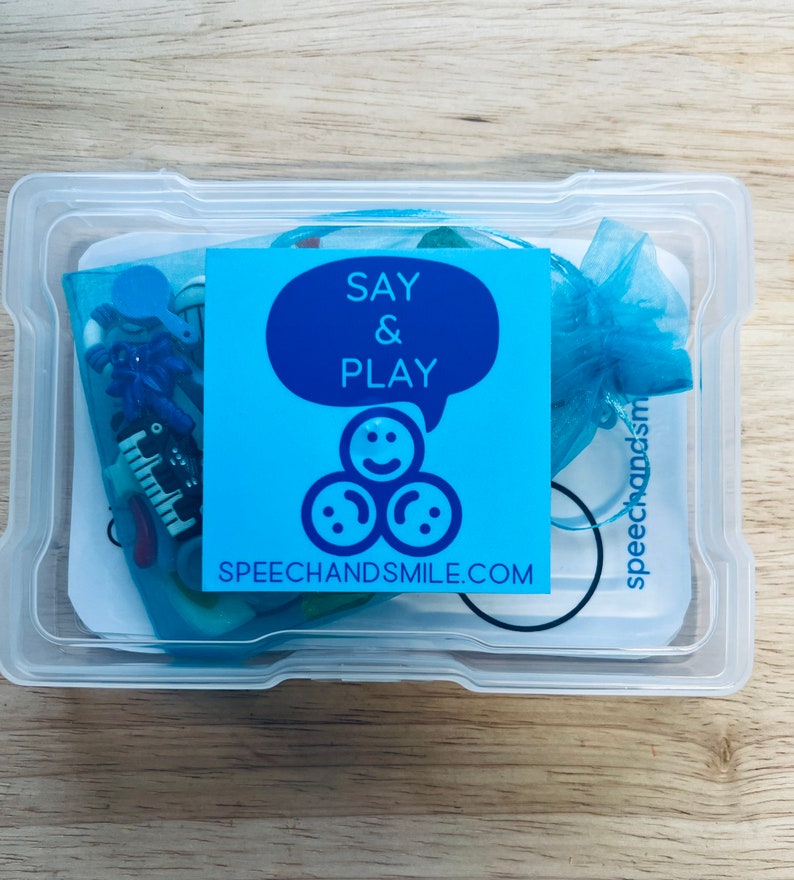 Sorting Task Box With Mini Objects-speech Therapy Activity - Etsy