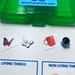 LIVING NONLIVING Preschool SCIENCE Task Box With Mini Objects - - Etsy