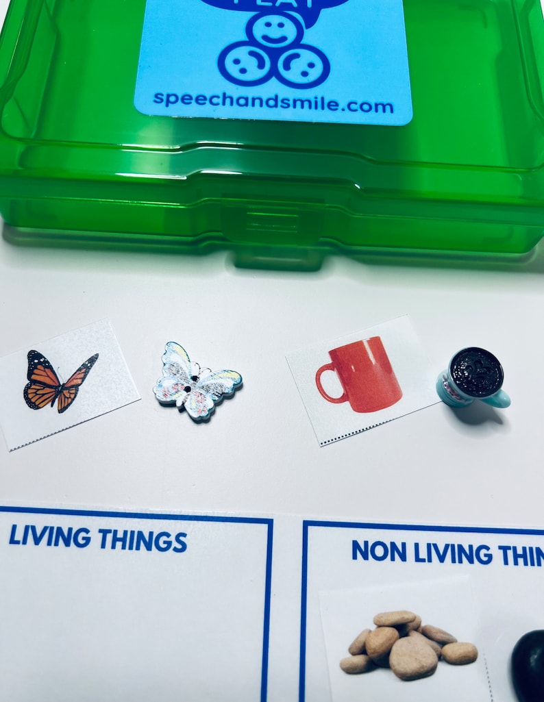 LIVING NONLIVING Preschool SCIENCE Task Box With Mini Objects - - Etsy