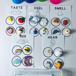 Counting Task Box With Mini Objects Preschool Counting Activity Box ...