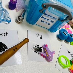 Multiple Meaning Word Mini Objects for Speech Therapy Semantics ...