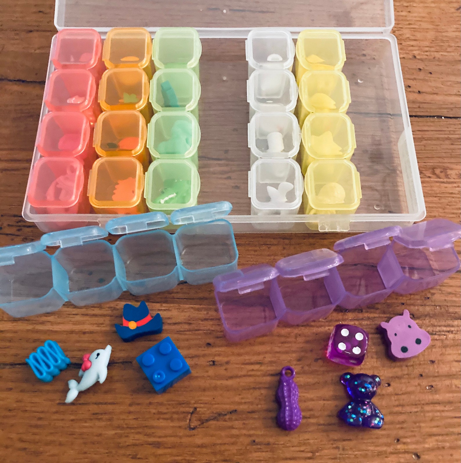 Color Sorting Objects in Case Sorting Activity-rainbow - Etsy