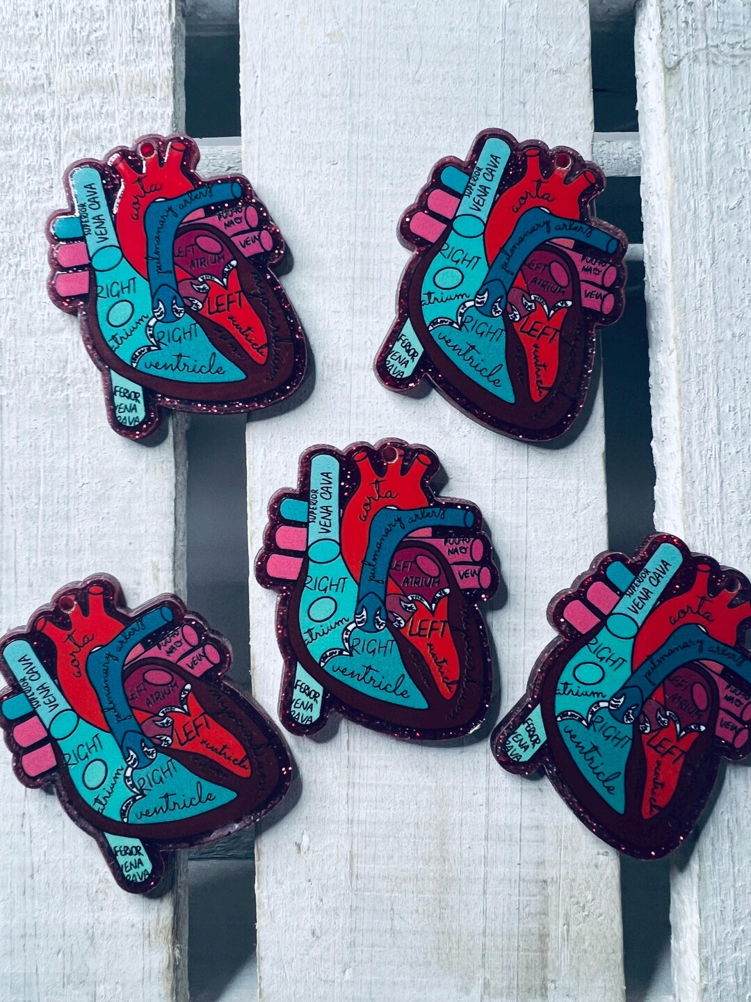 Heart Anatomy Trinket Anatomical Heart Model Miniature Medical SLP Mini ...